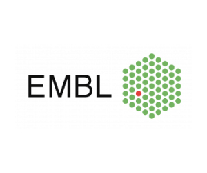 EMBO - Course: Imaging-based Spatial-omics. Germany - Cancéropole Grand ...